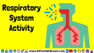 Respiratory System Google Slides Activity
